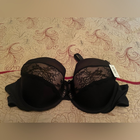 Adore Me | Intimates & Sleepwear | Adore Me Push Up Bra Size 42c | Poshmark